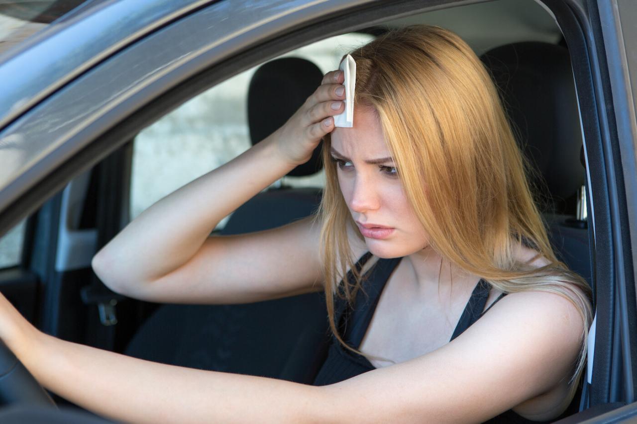 5 Ways to Keep Your Car Cool This Summer - Auto Glass Estimator™