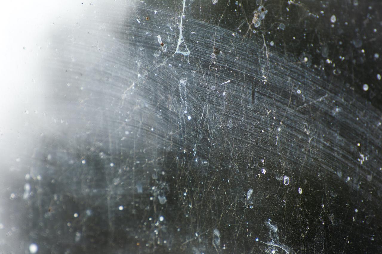 Protect Your Windshield from Bug Splatter - Auto Glass Estimator™